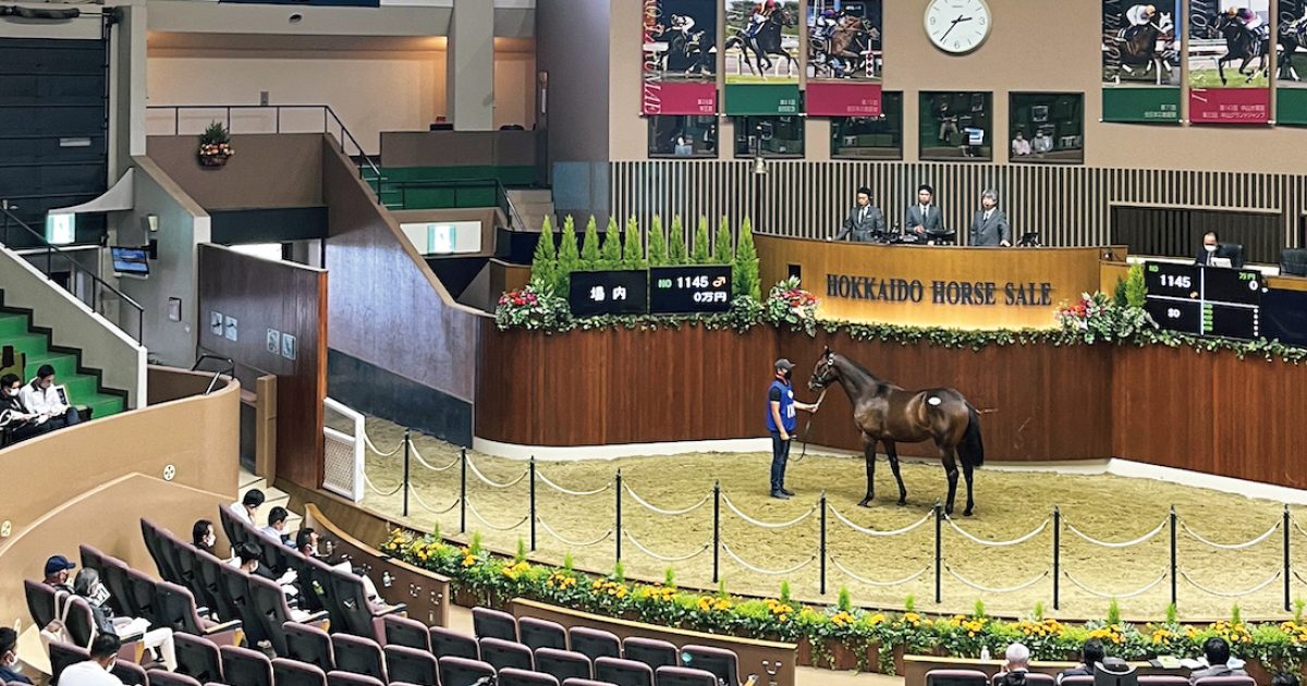 未来のG1馬を発掘！ 静かなる熱狂“ホースセール”の世界に潜入 | GOETHE