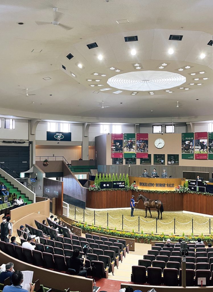 未来のG1馬を発掘！ 静かなる熱狂“ホースセール”の世界に潜入 | GOETHE