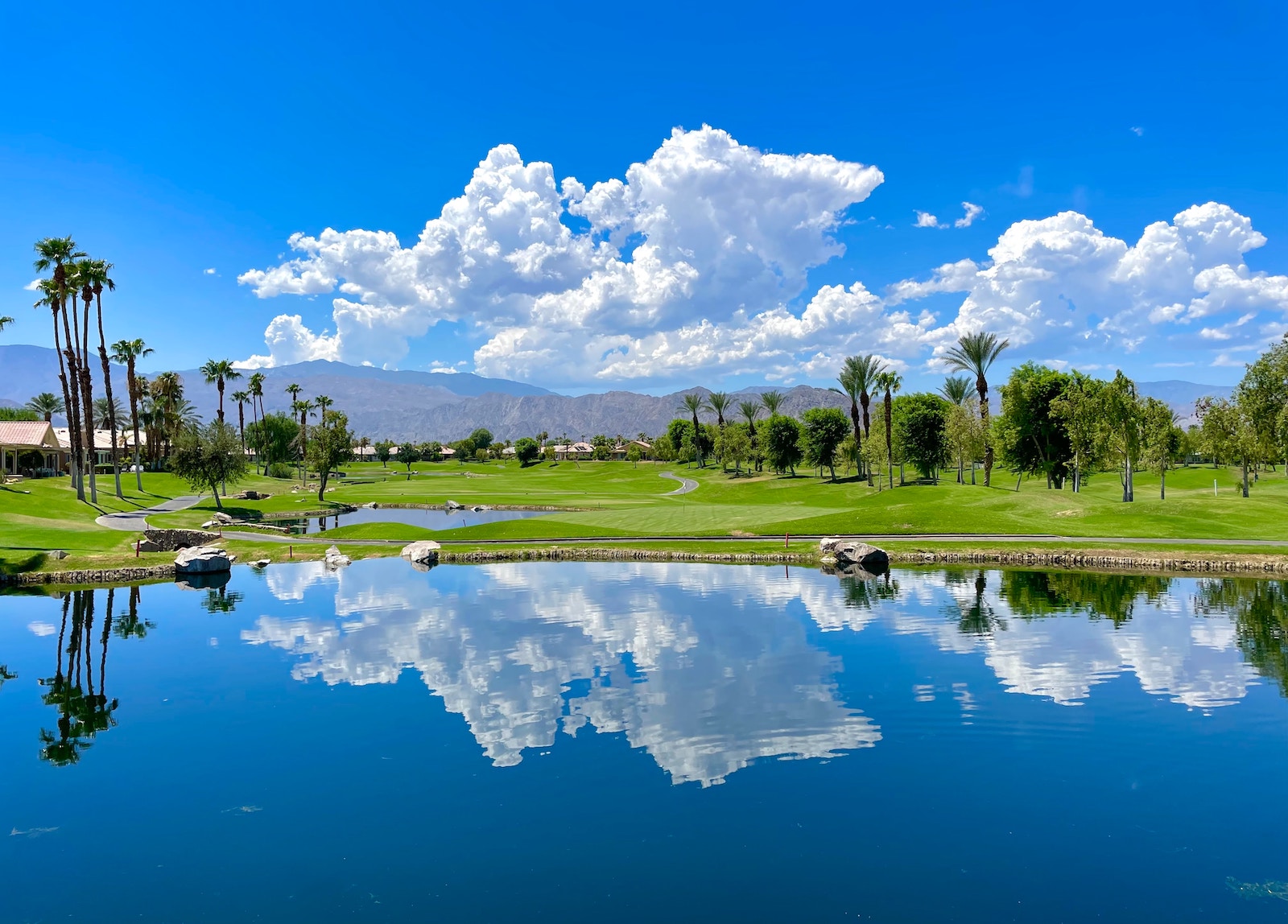 復活優勝が目立ったPGAツアー！ 9月からの来季シードをめぐる注目の戦いとは | GOETHE