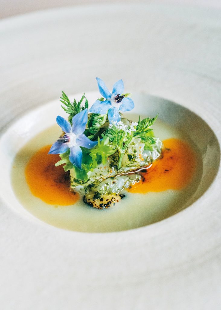 奈良の自然を体感できる、薪火料理の美食宿「VILLA COMMUNICO」がオープン | GOETHE