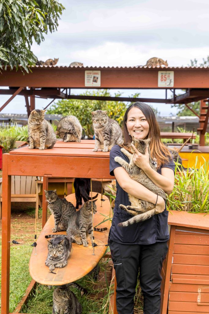 ここはまさに猫天国！ ハワイ、ラナイ島で暮らす幸せなニャンコと、日本人女性 | GOETHE