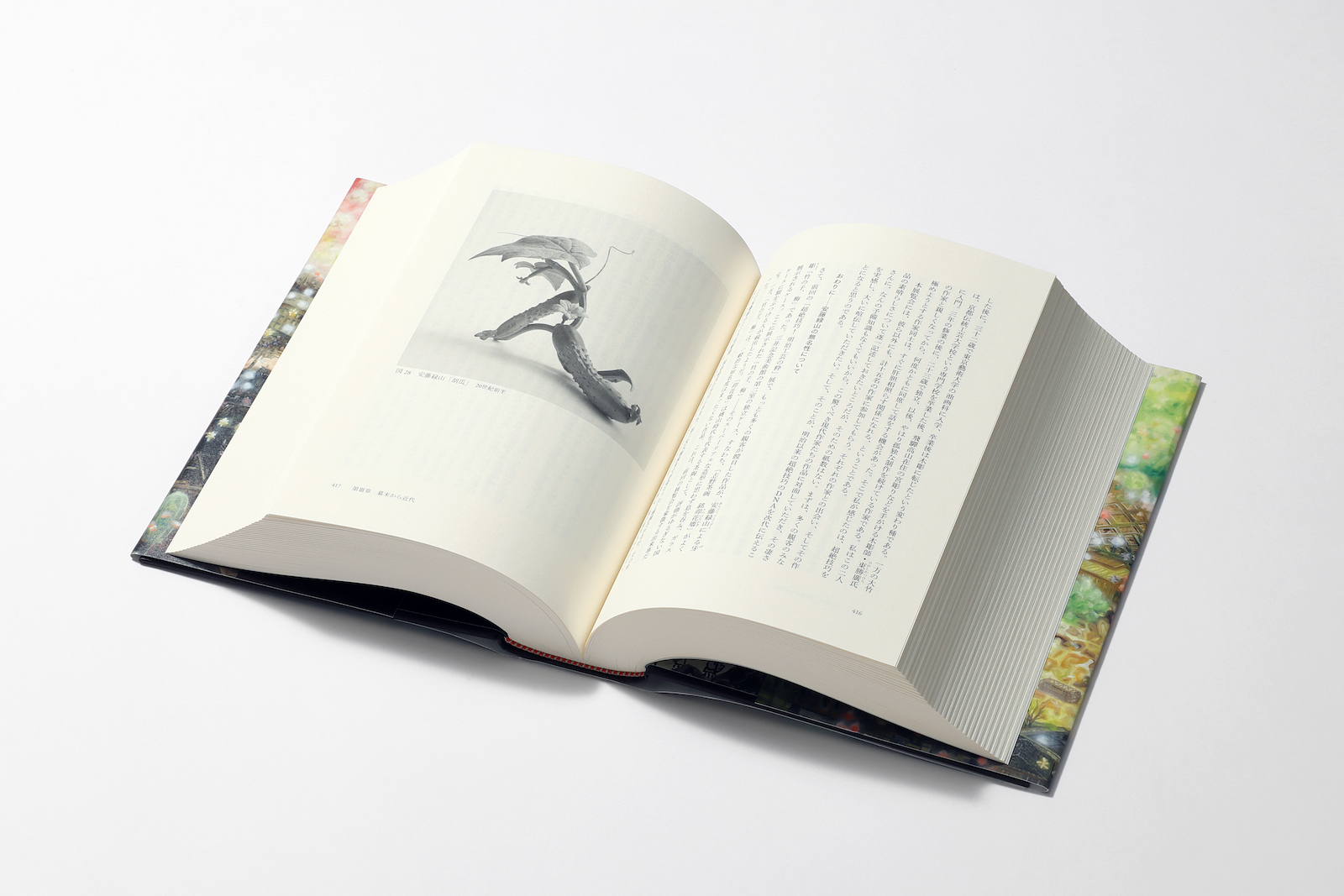 若冲、江戸絵画ブーム。日本美術を盛り上げ続けてきた「応援団長」の軌跡を知る一冊 | GOETHE